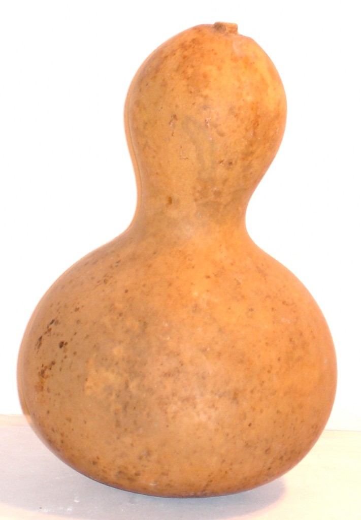 calebasse-gourde-coloquinte-cougourde-cougourdon-cultiver